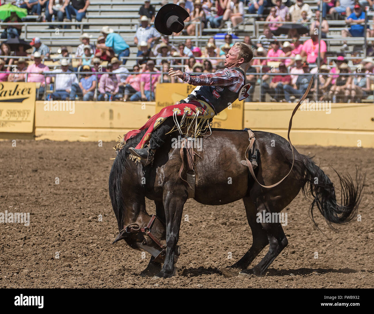 Rodeo action during a rodeo in Red Bluff, California Stock Photo - Alamy