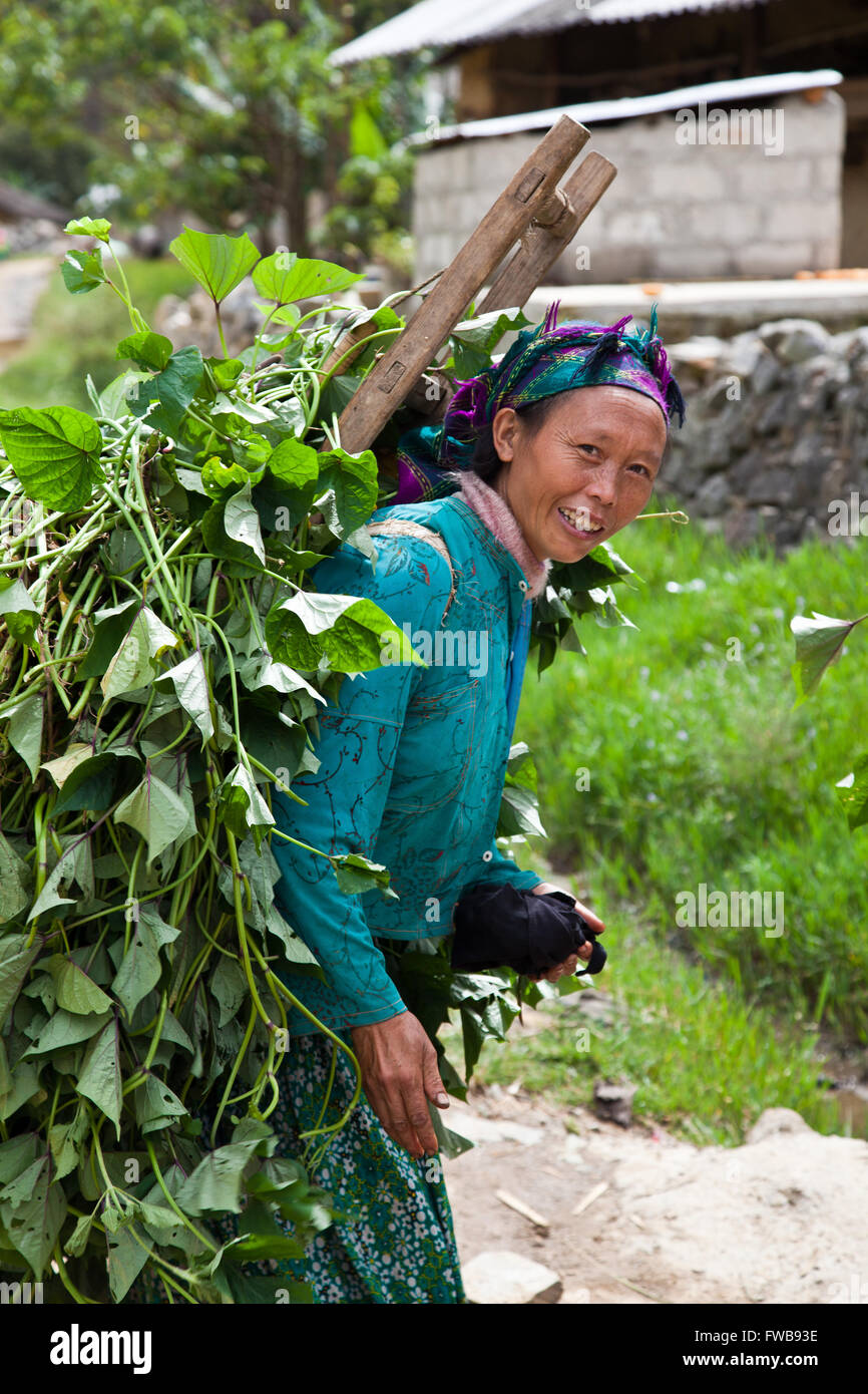 Woman carrying heavy load in hi-res stock photography and images - Alamy