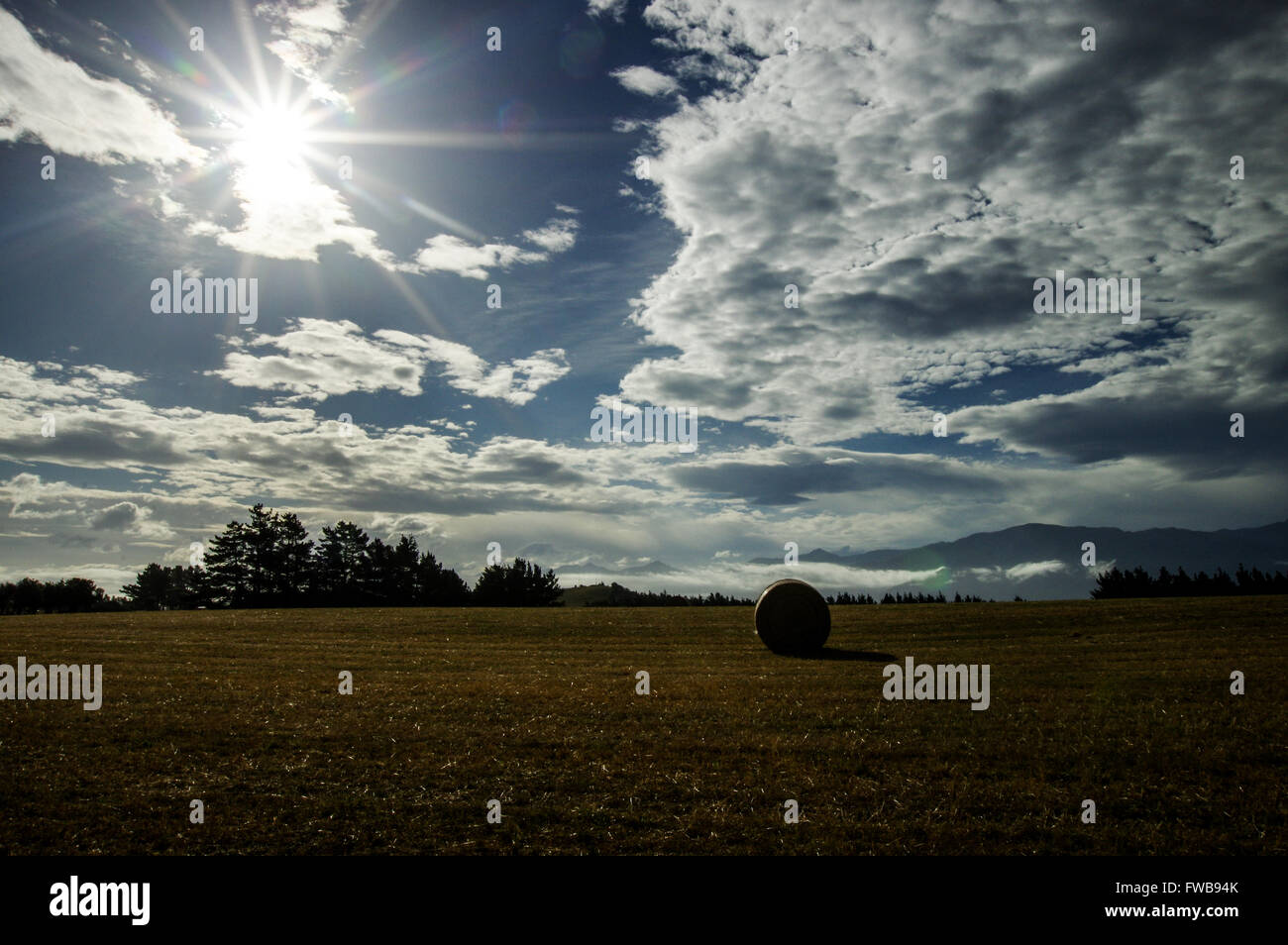 Hay field in new zealand hi-res stock photography and images - Alamy