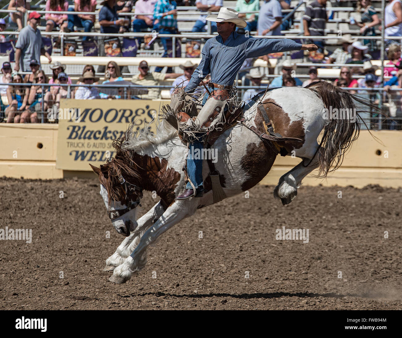 Rodeo action during a rodeo in Red Bluff, California Stock Photo - Alamy