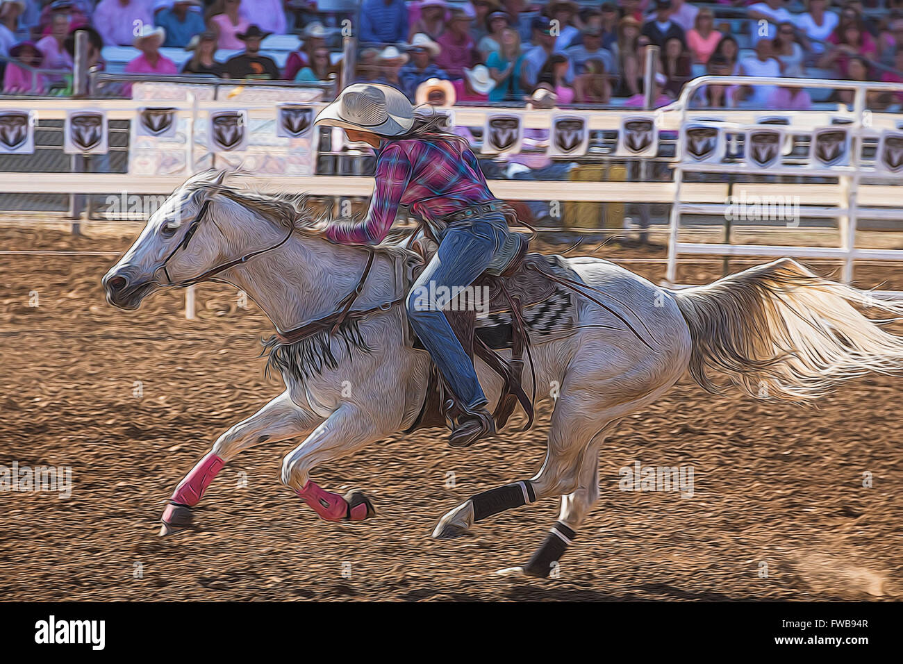 Rodeo action during a rodeo in Red Bluff, California Stock Photo - Alamy