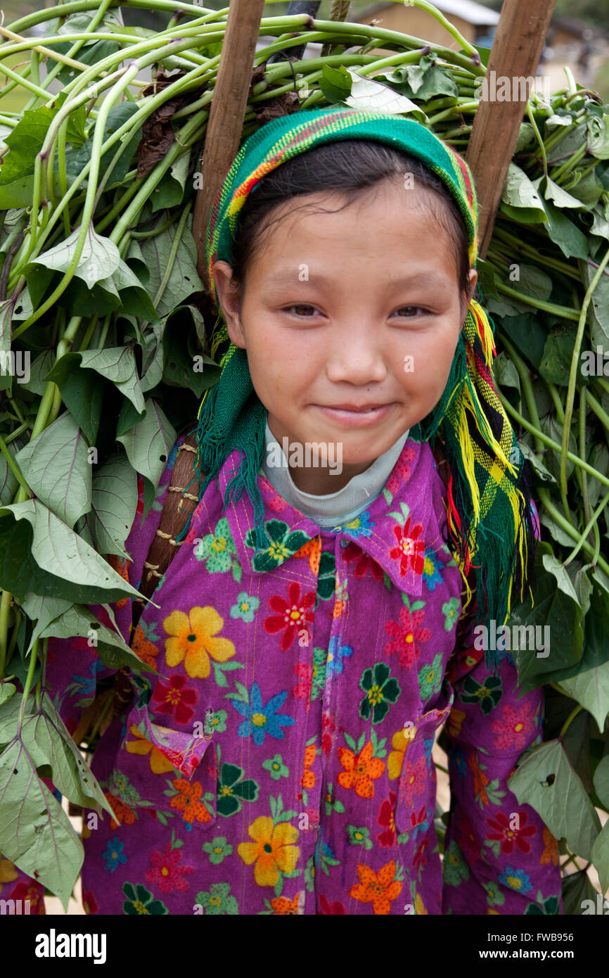 Girl with heavy load, Ha giang, Vietnam Stock Photo - Alamy