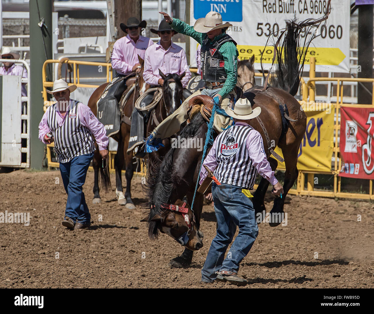 Rodeo action during a rodeo in Red Bluff, California Stock Photo - Alamy