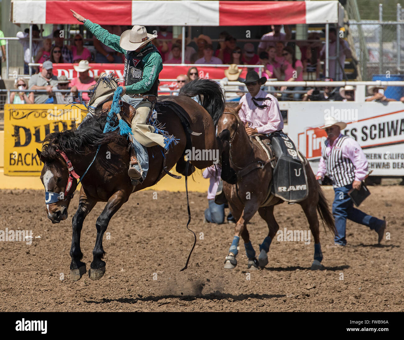 Rodeo action during a rodeo in Red Bluff, California Stock Photo - Alamy