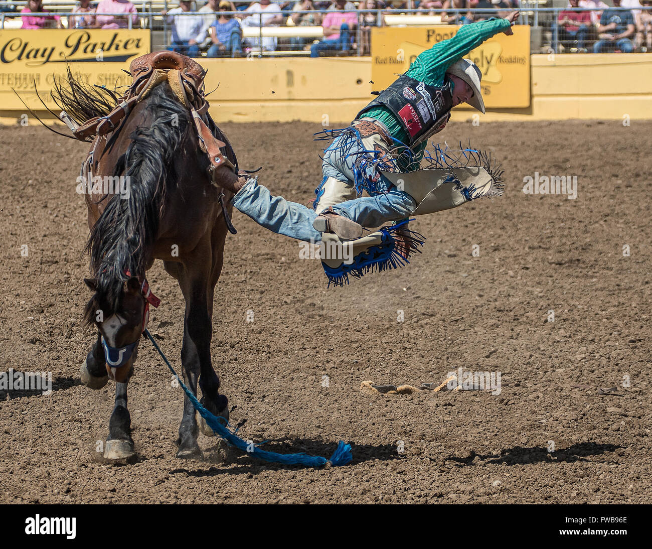 Bronc buster action hi-res stock photography and images - Alamy