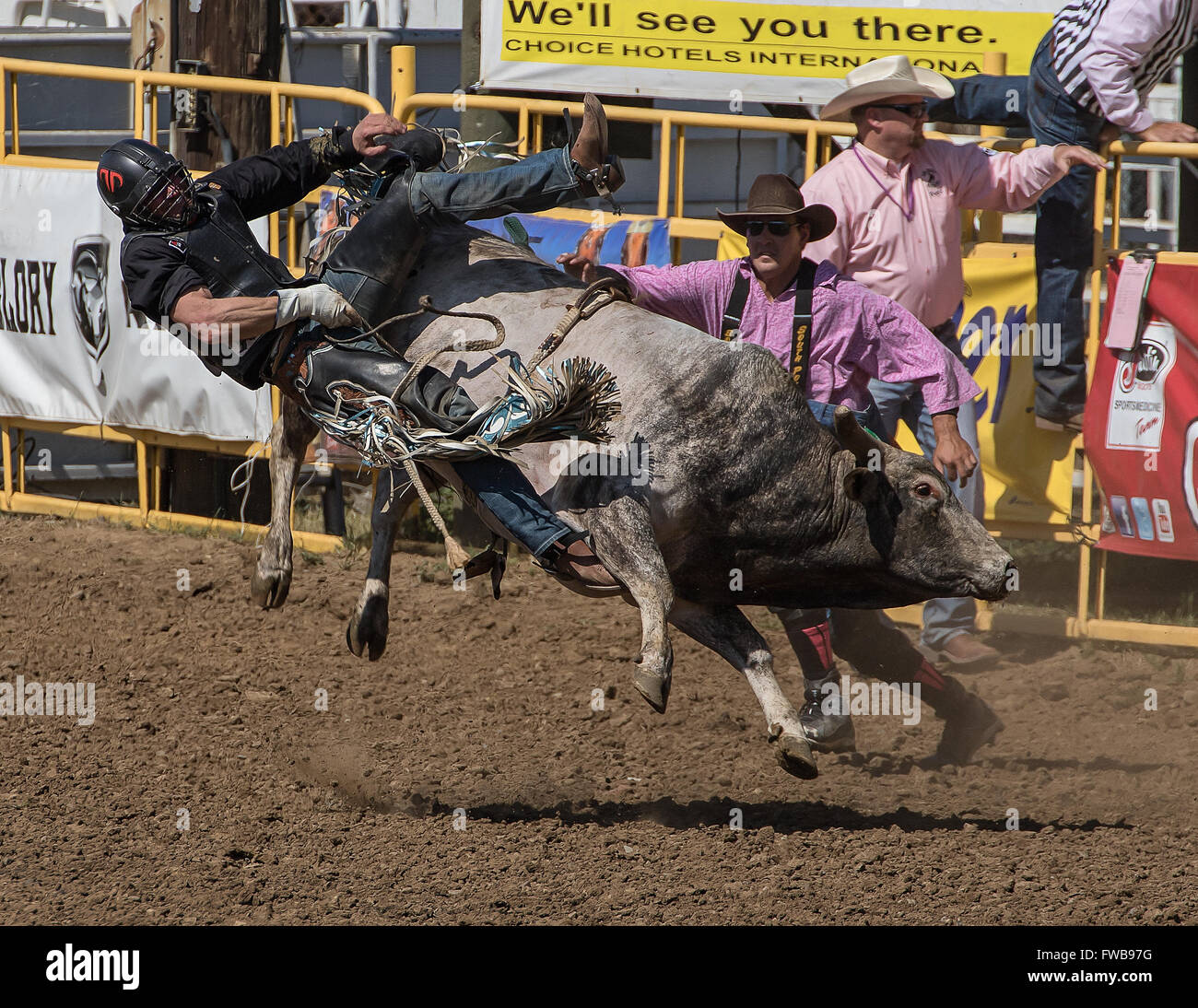 Rodeo action during a rodeo in Red Bluff, California Stock Photo - Alamy