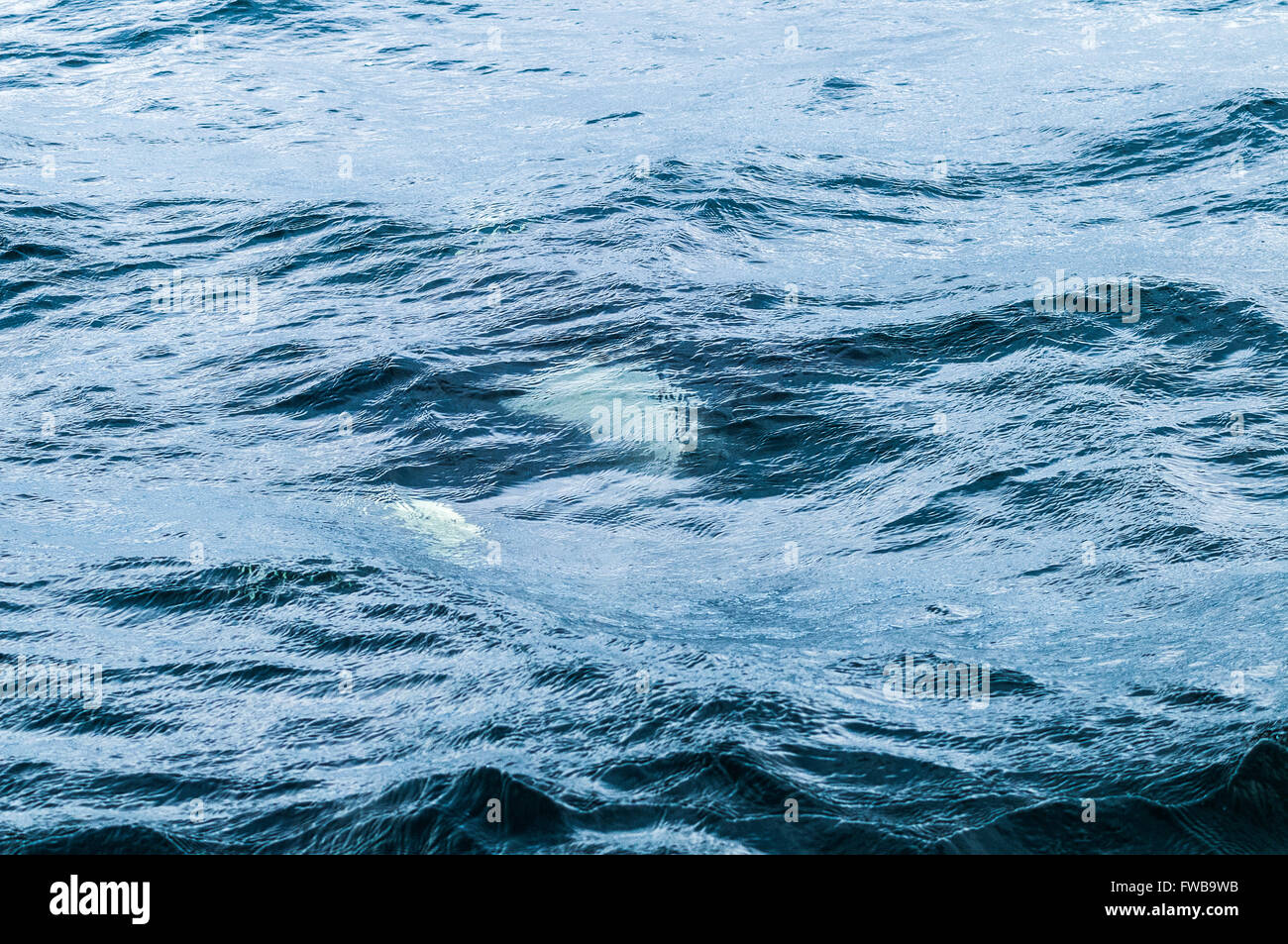 Surface visible beneath hi-res stock photography and images - Alamy