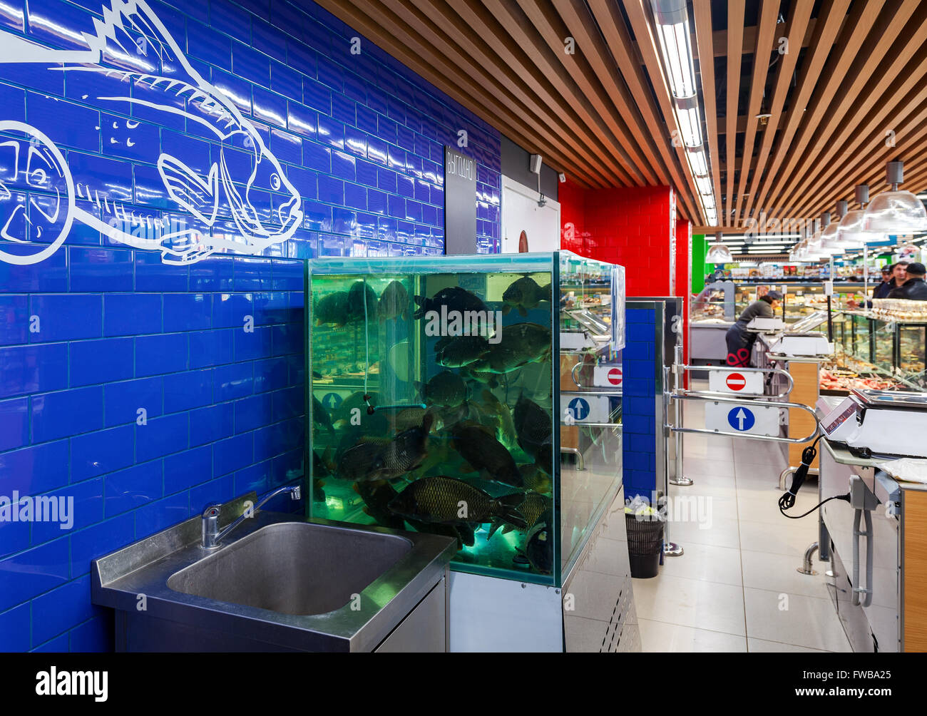 Live fish ready for sale in the supermarket Perekrestok. One of largest ...