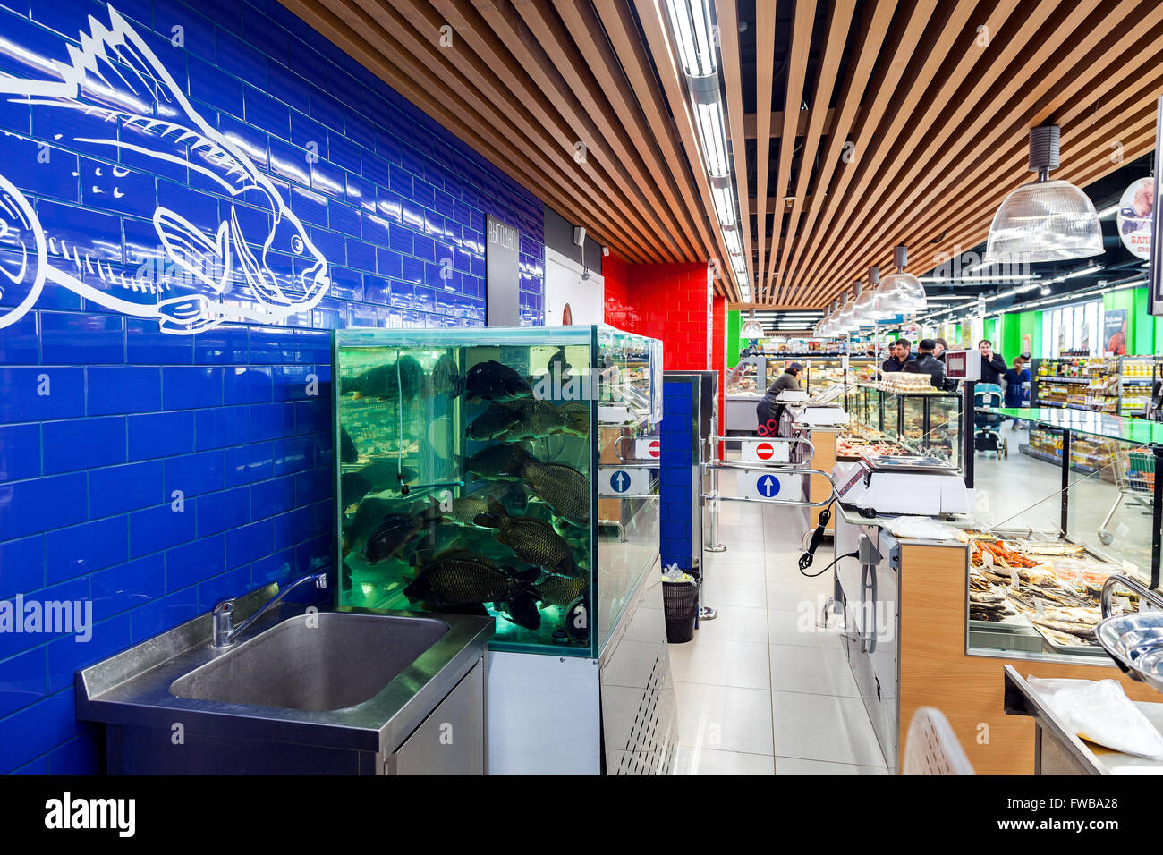 Live fish ready for sale in the supermarket Perekrestok. One of largest ...