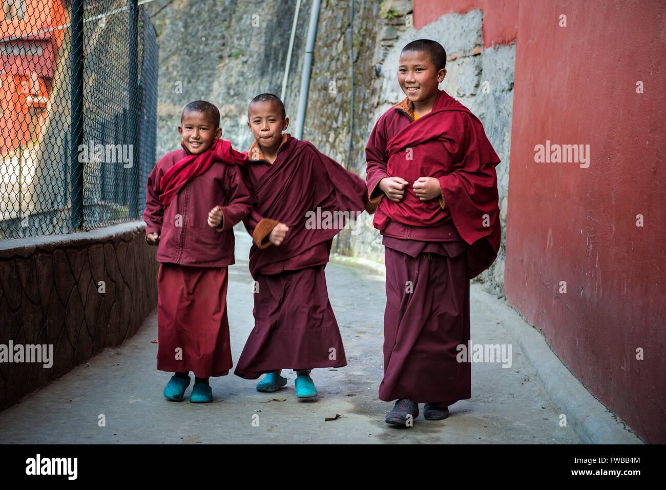 Nepal, Kopan monastery Stock Photo - Alamy