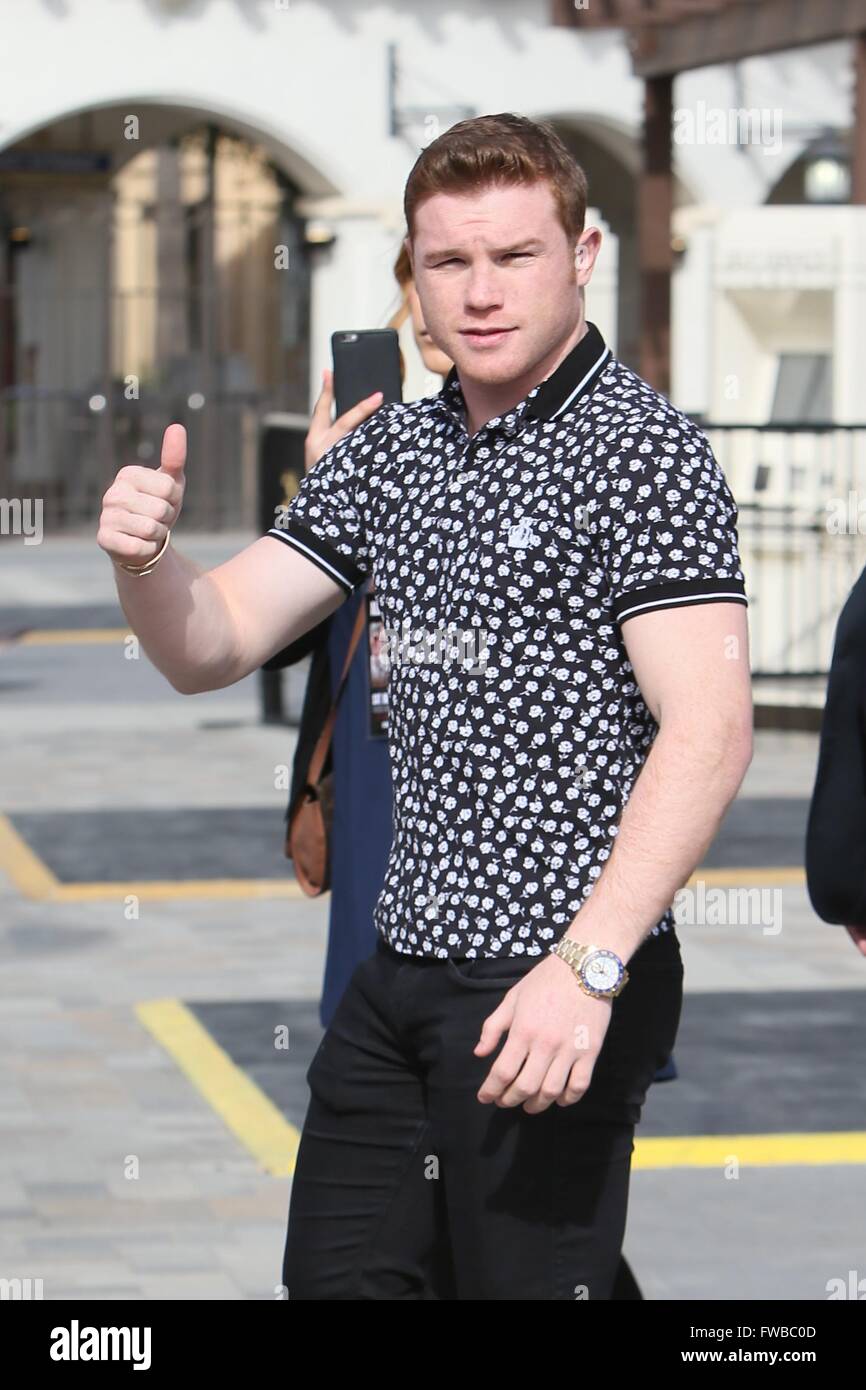 Amir Kahn and Canelo Alvarez seen with Oscar De La Hoya at Universal ...