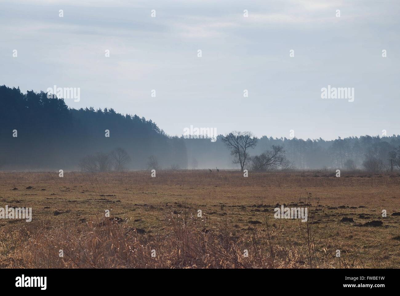 Cra background hi-res stock photography and images - Alamy