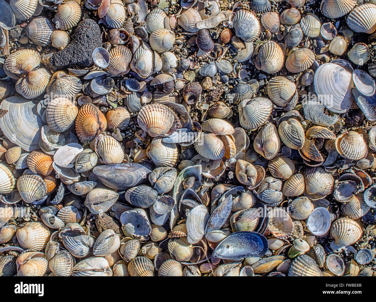 Wallpaper structure hi-res stock photography and images - Alamy