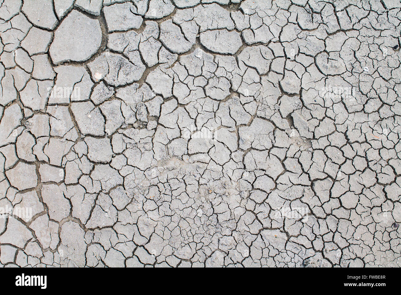 fallow land detailed Stock Photo - Alamy