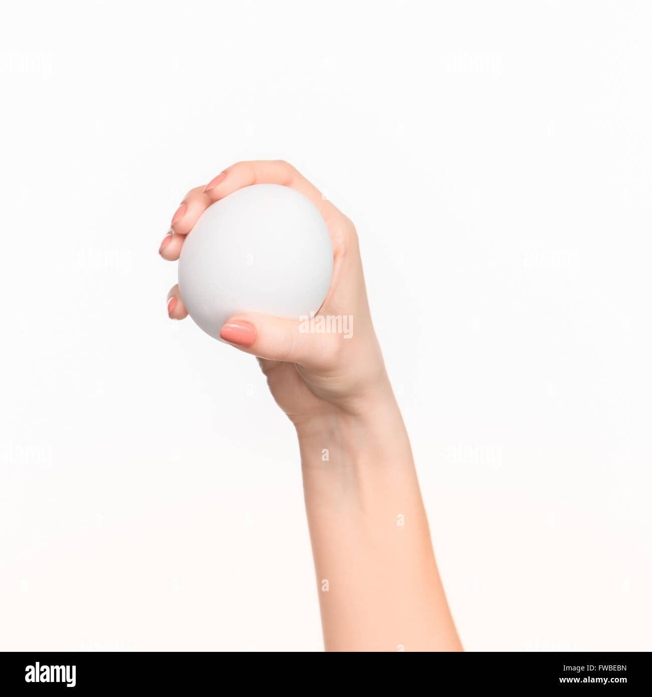 The female hand holding white blank styrofoam oval against the white ...