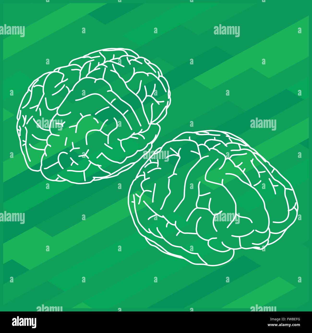 Vector outline illustration human brain Stock Vector Image & Art - Alamy