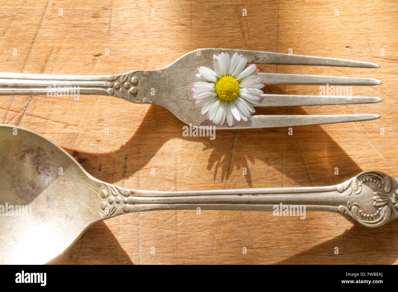 Spring daisy and cutlery on wooden boards abstract still life Stock ...