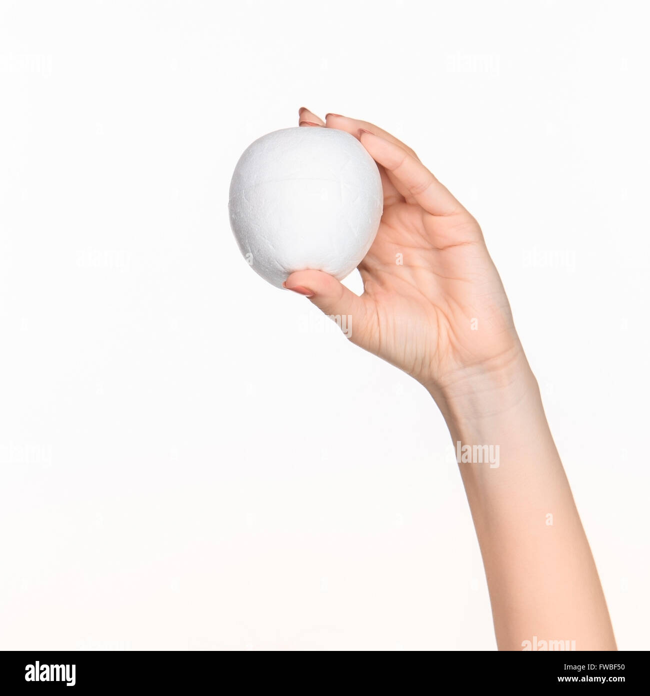 The female hand holding white blank styrofoam oval against the white ...