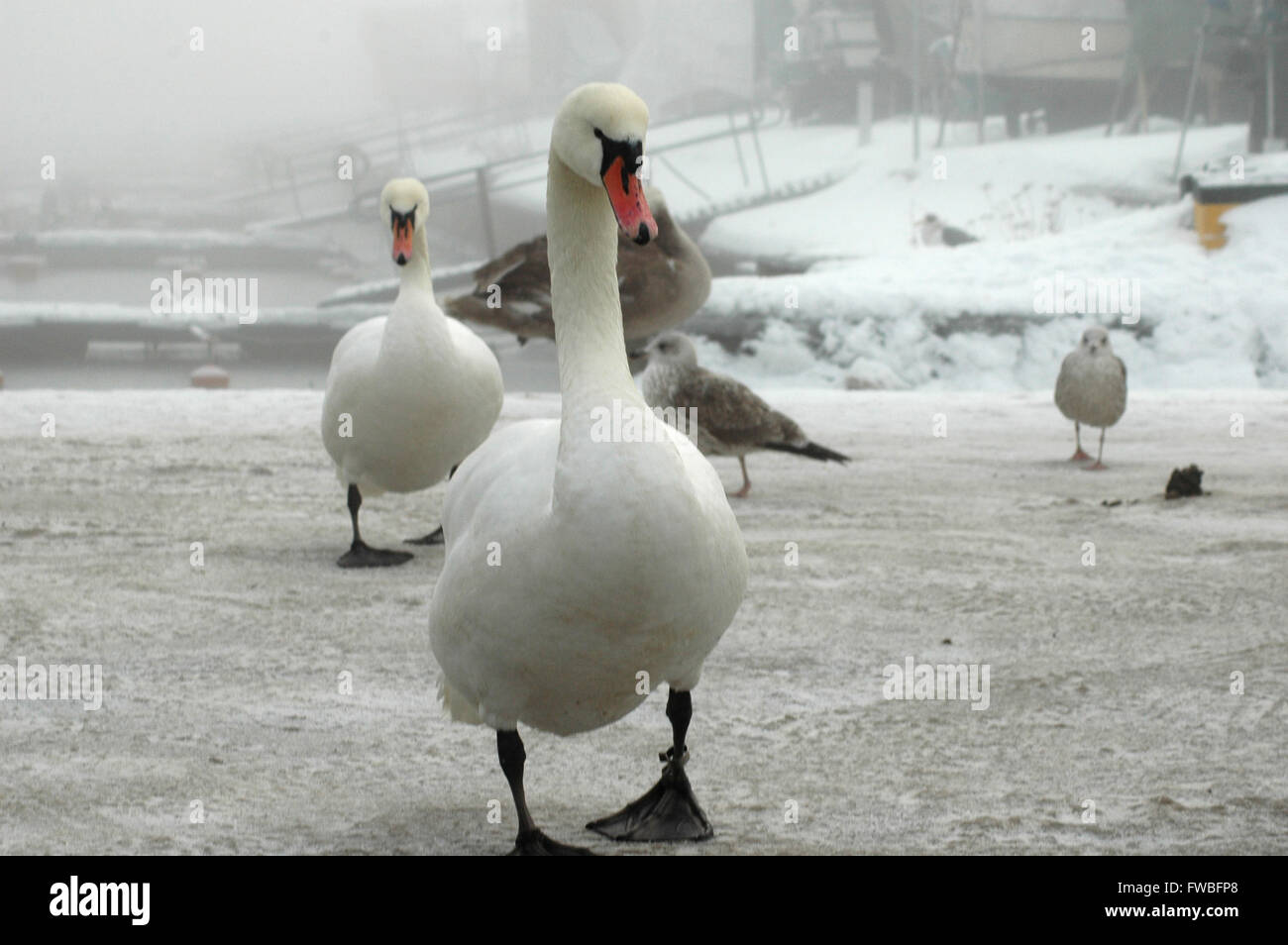 Fyllinga hi-res stock photography and images - Alamy