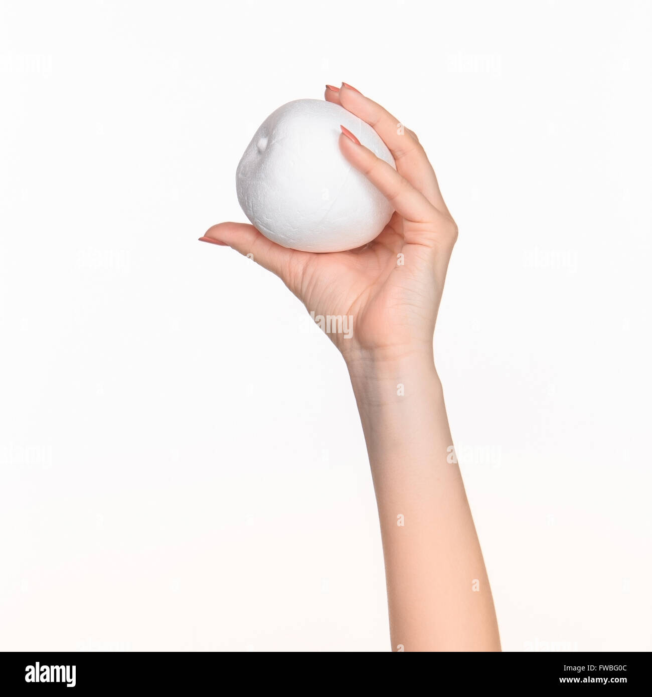 The female hand holding white blank styrofoam oval against the white ...
