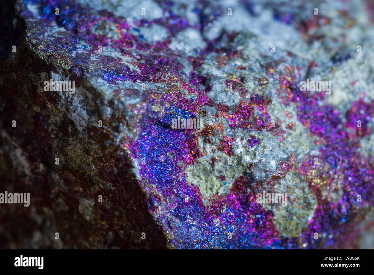 close up of a beautiful rock with vivid specs and variety of color ...