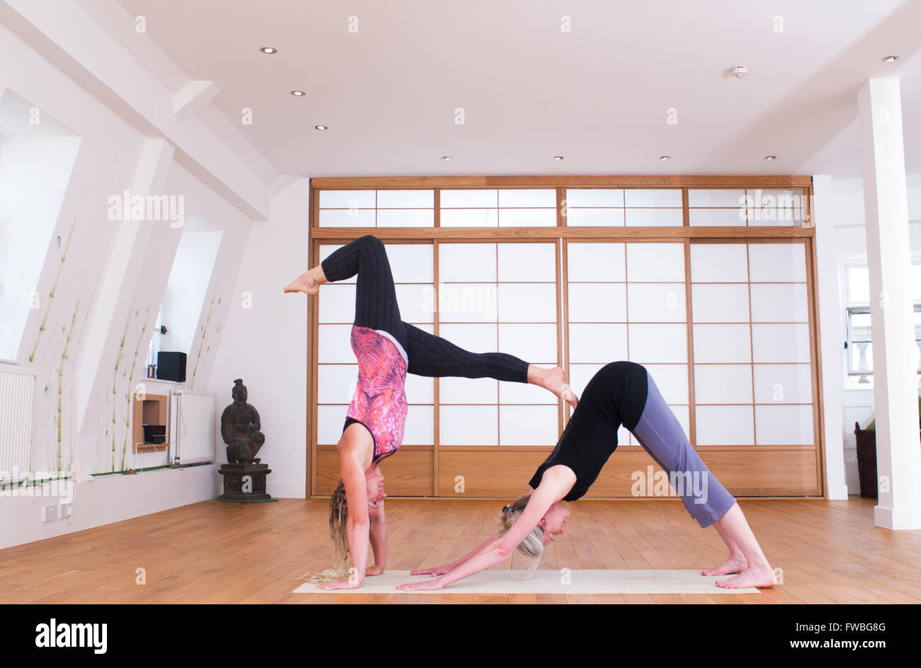 Formal and basic pose portraiture Stock Photo - Alamy