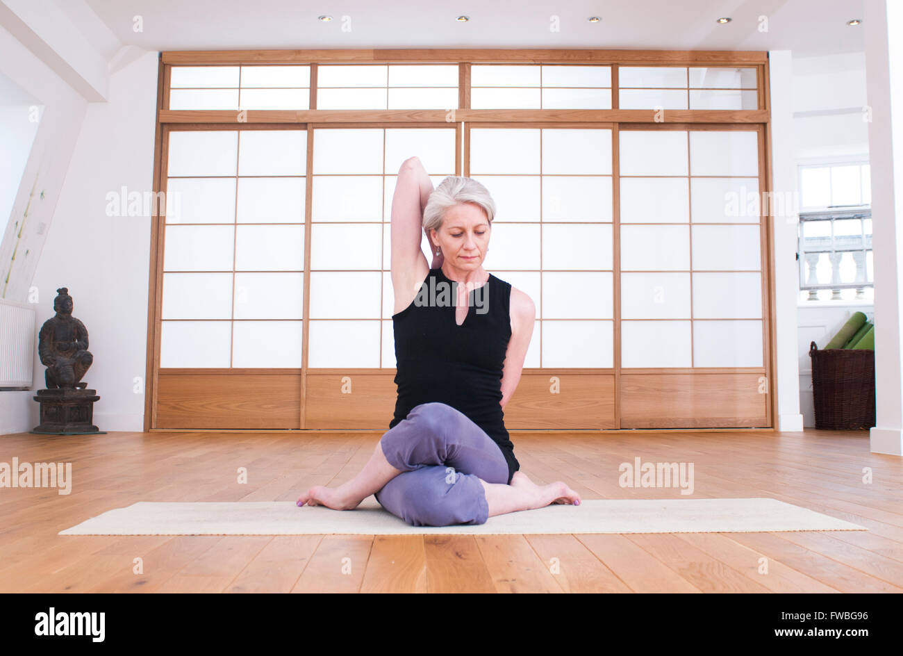 Formal and basic pose portraiture Stock Photo - Alamy