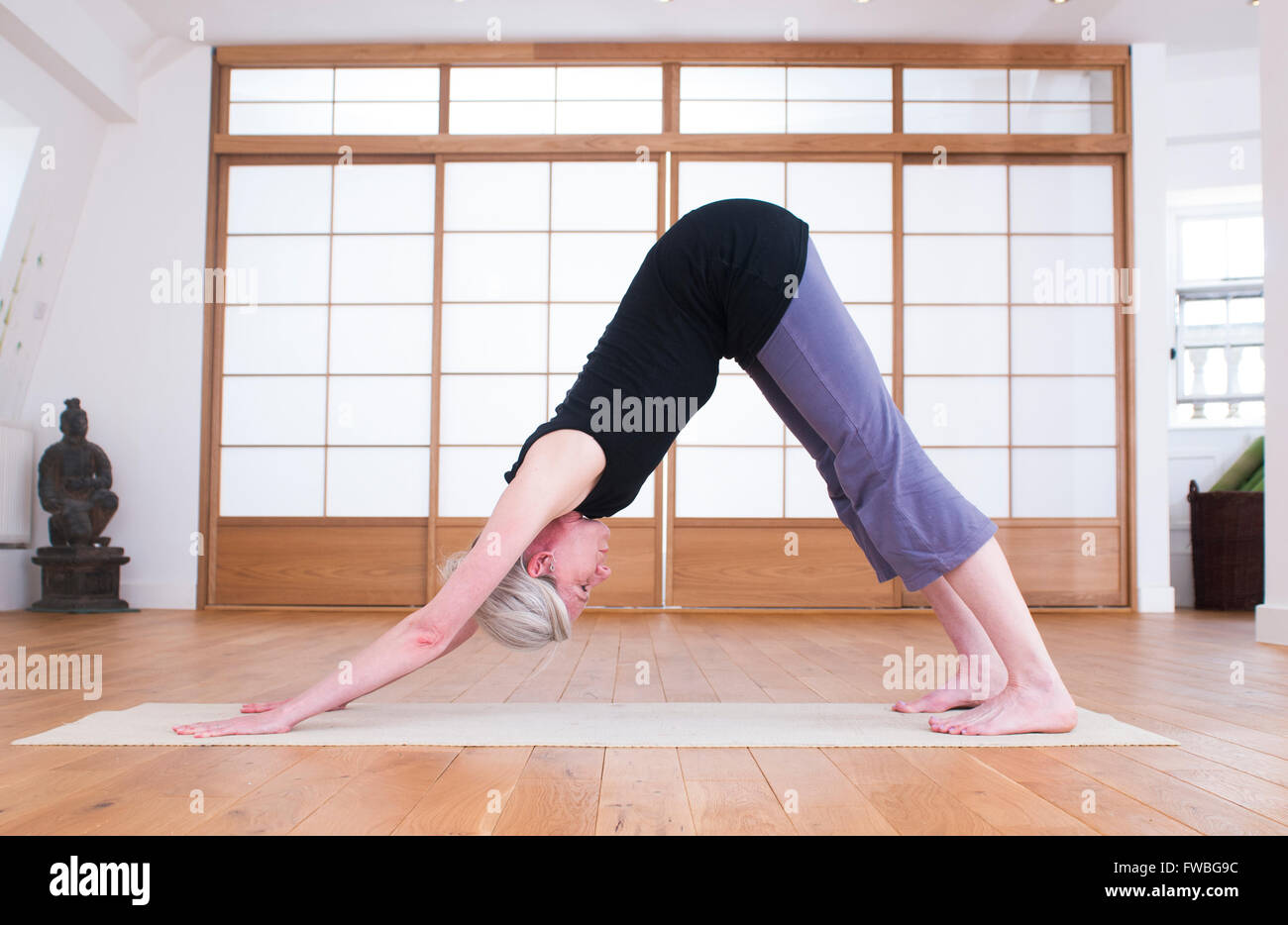 Formal and basic pose portraiture Stock Photo - Alamy