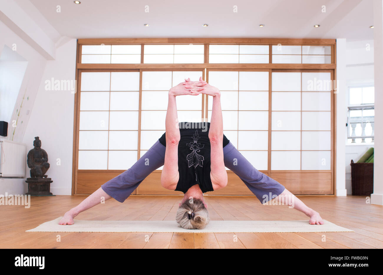 Formal and basic pose portraiture Stock Photo - Alamy