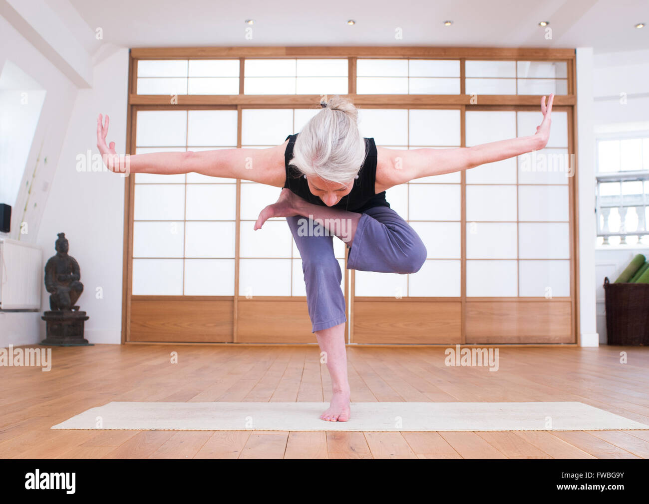 Formal and basic pose portraiture Stock Photo - Alamy