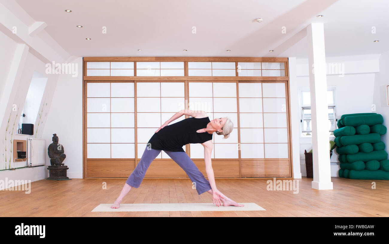 Formal and basic pose portraiture Stock Photo - Alamy