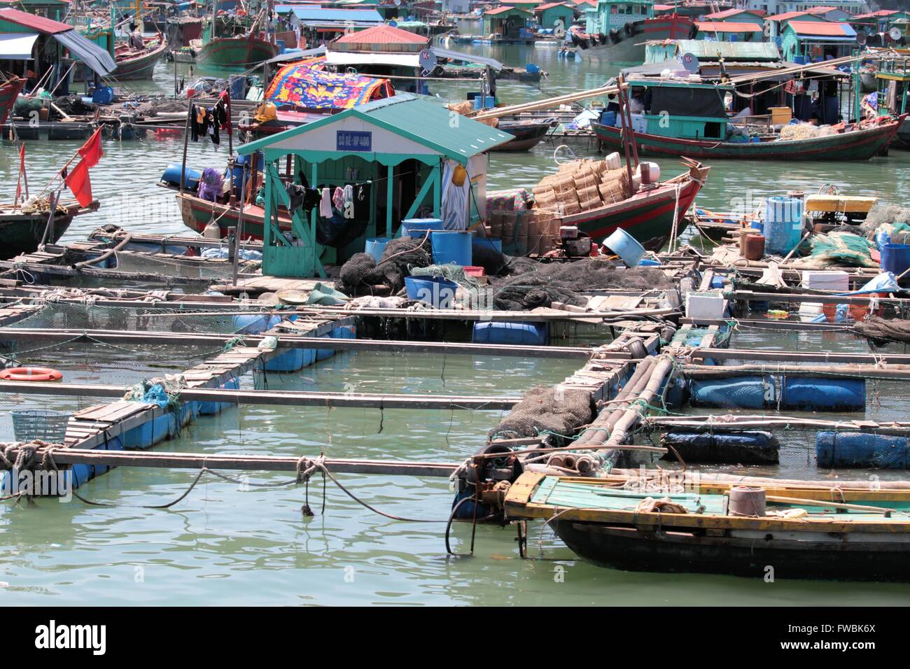 Floating village, Halong bay, UNESCO World Heritage Site, Vietnam, Asia ...