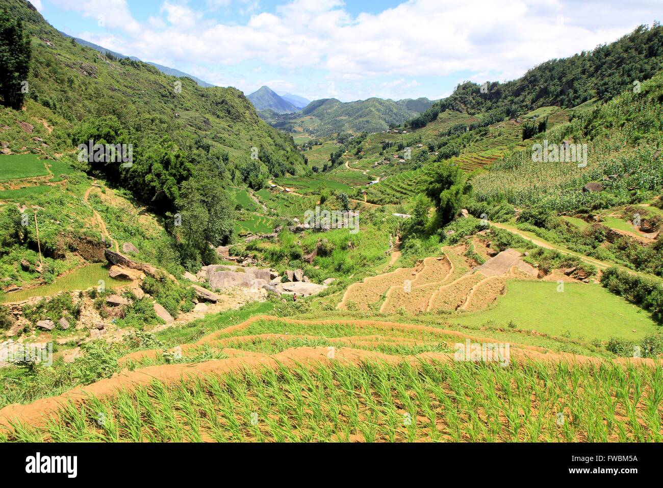 Sapa rice field hi-res stock photography and images - Alamy