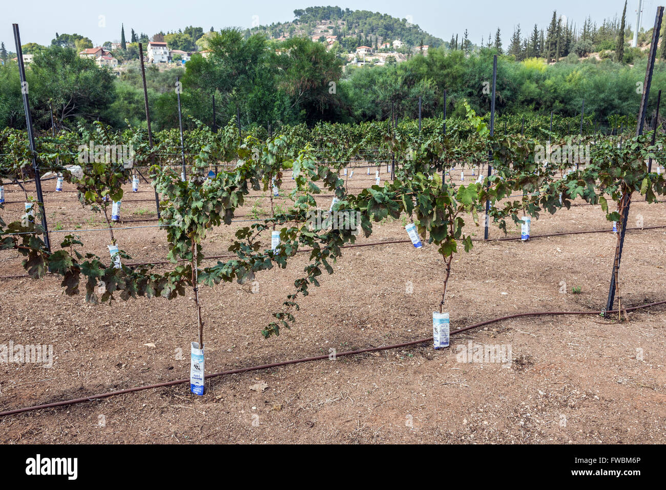 Moshav hi-res stock photography and images - Alamy
