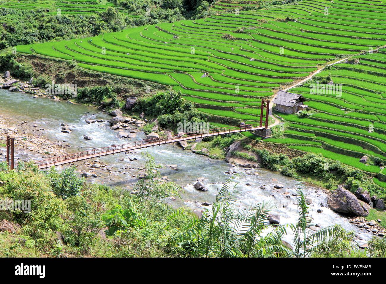 Bridge in Giang Ta Chai, Sapa, Loa Cai, Vietnam, Asia Stock Photo - Alamy