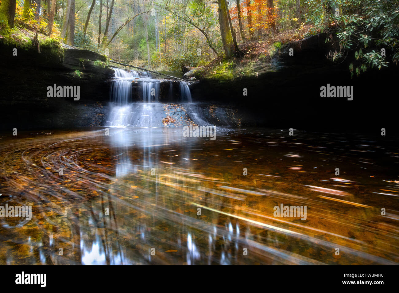 A downstream, water level view of waterfalls within a vibrant forest as ...