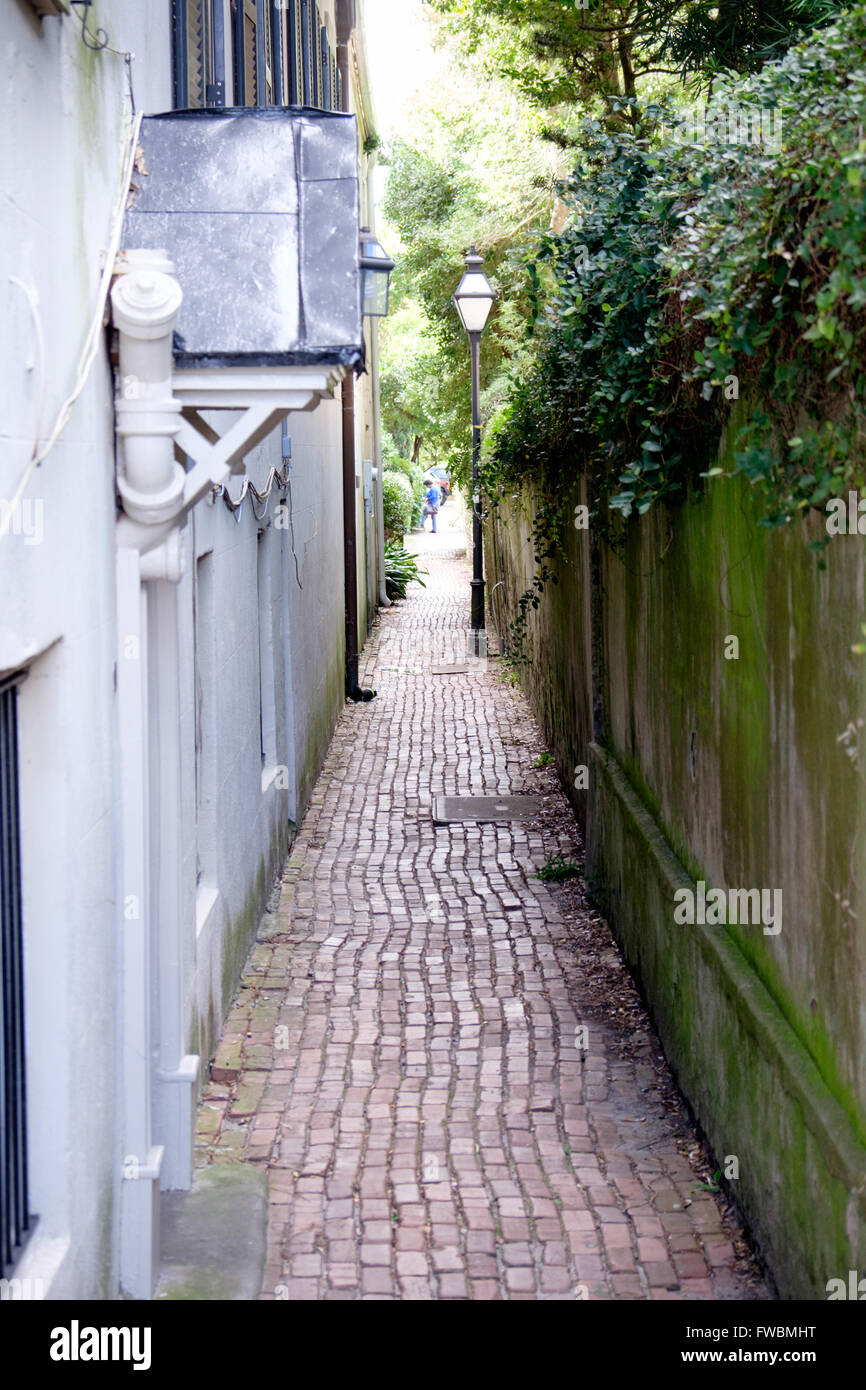 Narrow cobbled alley between houses in historic Charleston, South ...