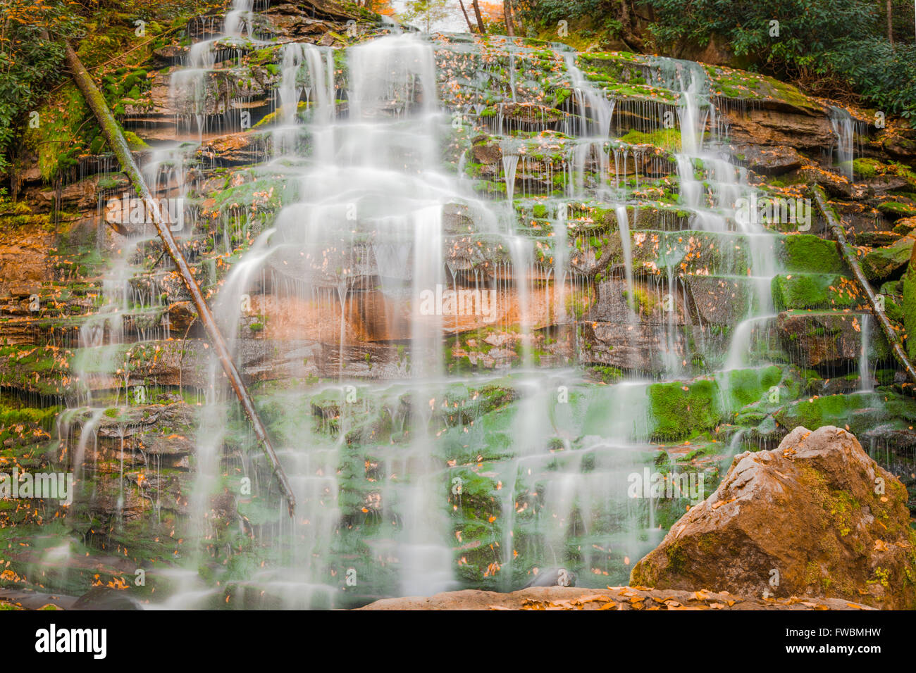 The sheer rock wall with its vibrant coat of moss gives way to the ...