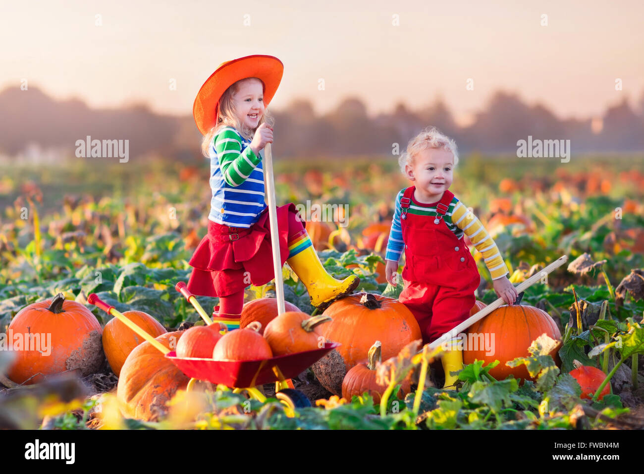 Little girl and boy picking pumpkins on Halloween pumpkin patch ...