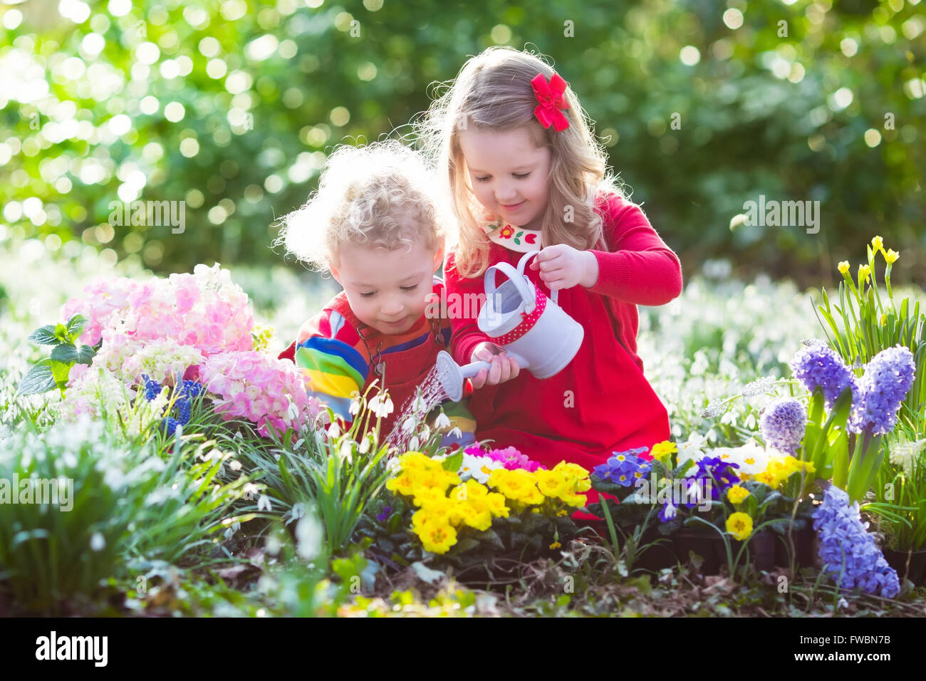 Flowers To Plant For Boys