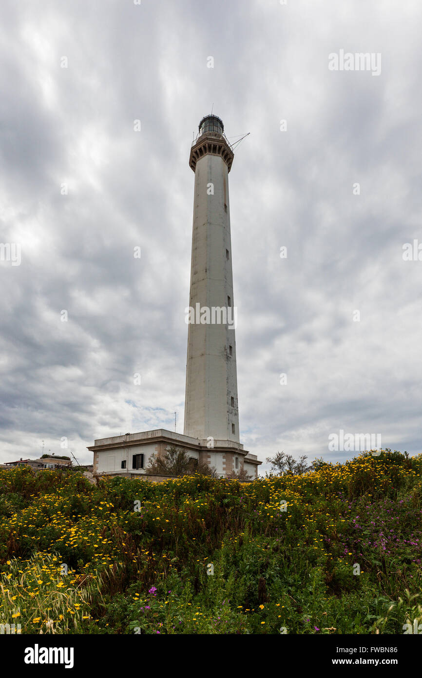 Punta lighthouse architecture hi-res stock photography and images - Alamy