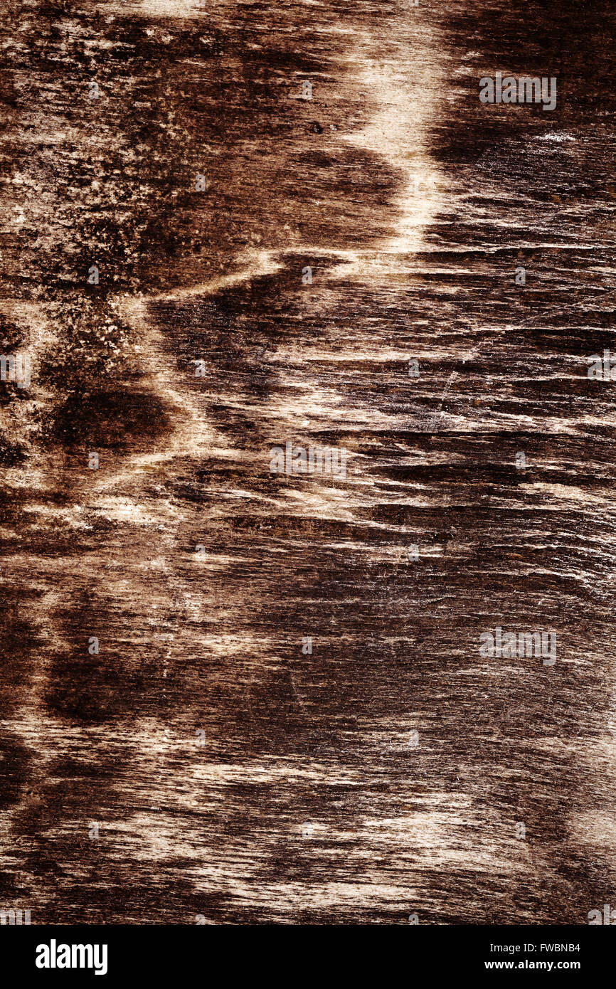 Old moldy wood texture background hi-res stock photography and images ...