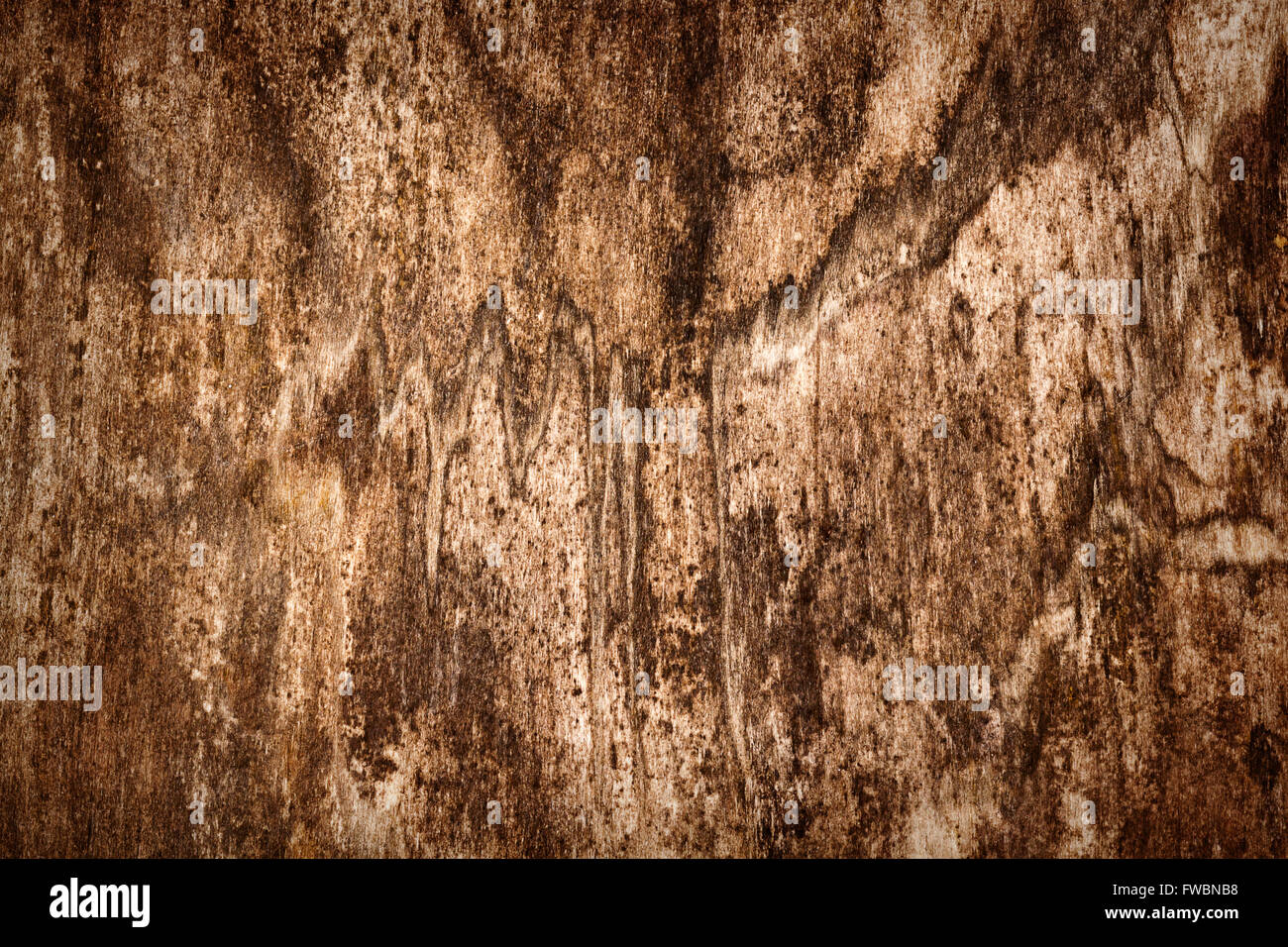 Old moldy wood texture background hi-res stock photography and images ...