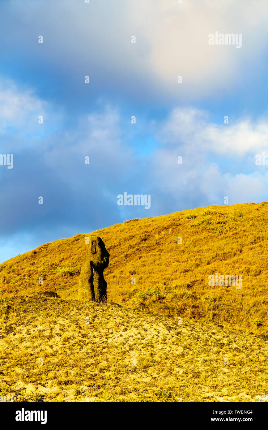 Moai near the Anakena Beach on Easter Island, Chile Stock Photo - Alamy