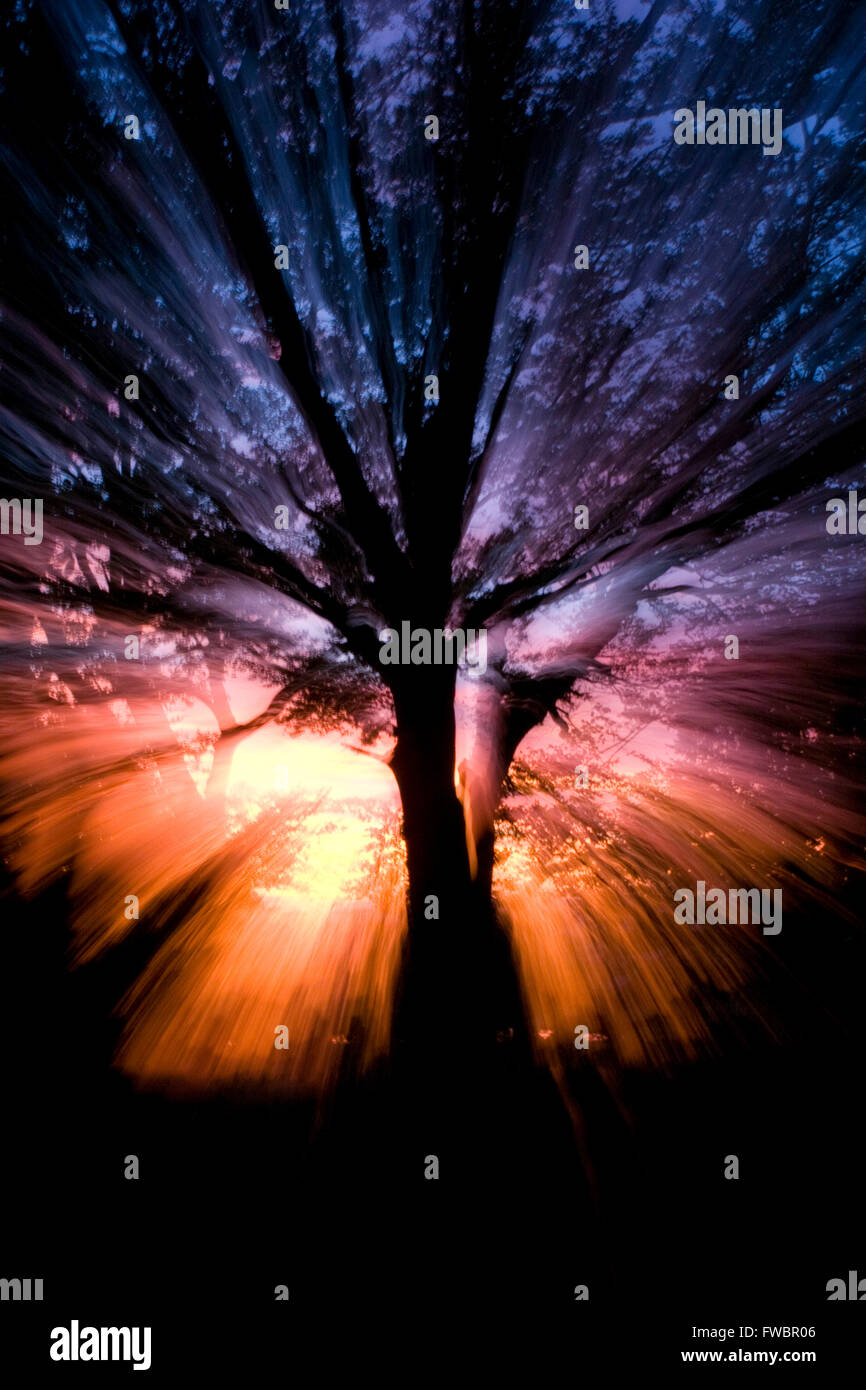 Swirling patterns of light are created by a sunset viewed frominside a ...