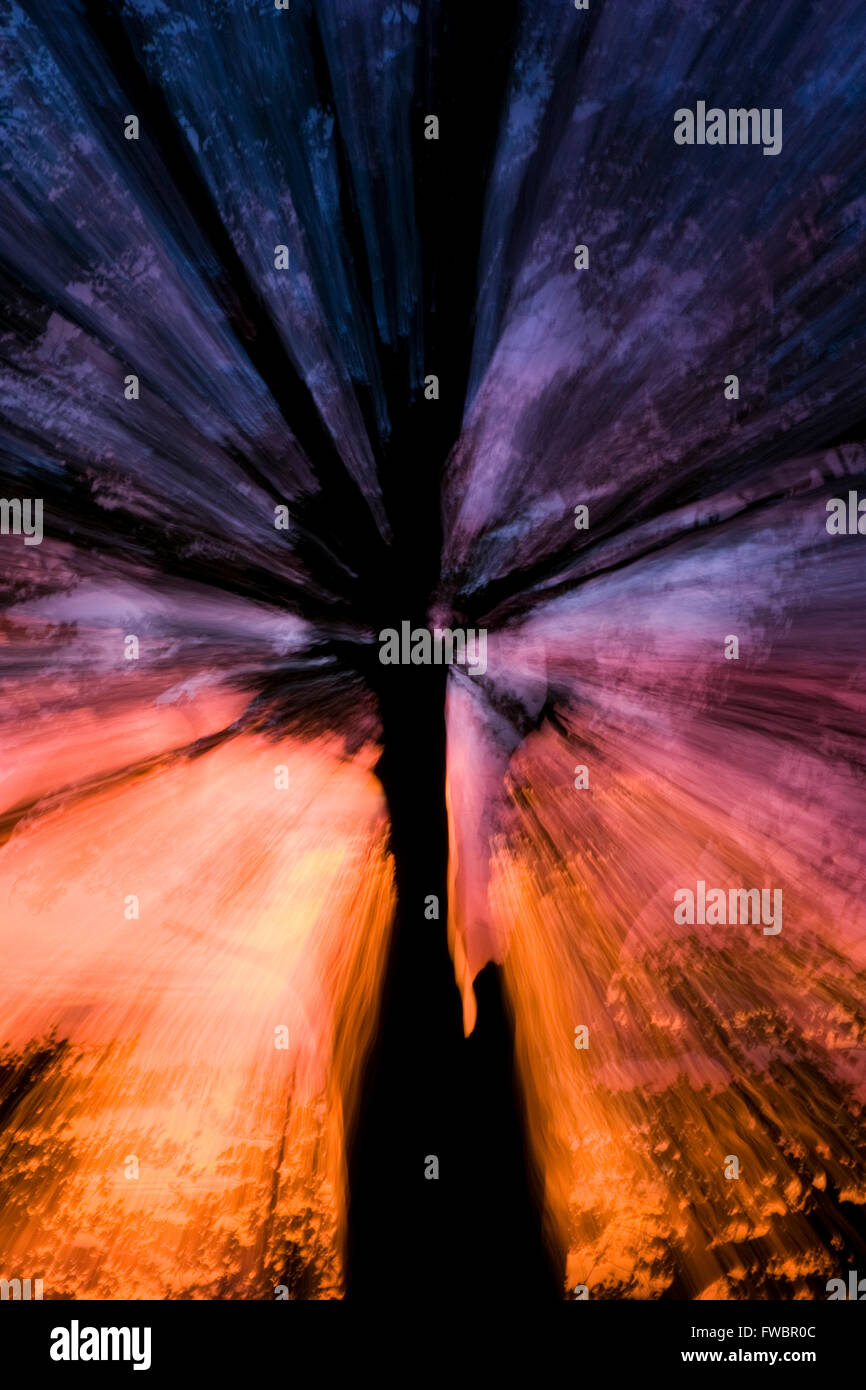 Swirling patterns of light are created by a sunset viewed frominside a ...