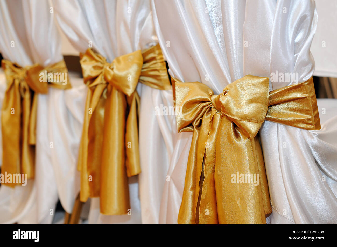 Wedding chairs in row decorated with golden color ribbon Stock Photo ...