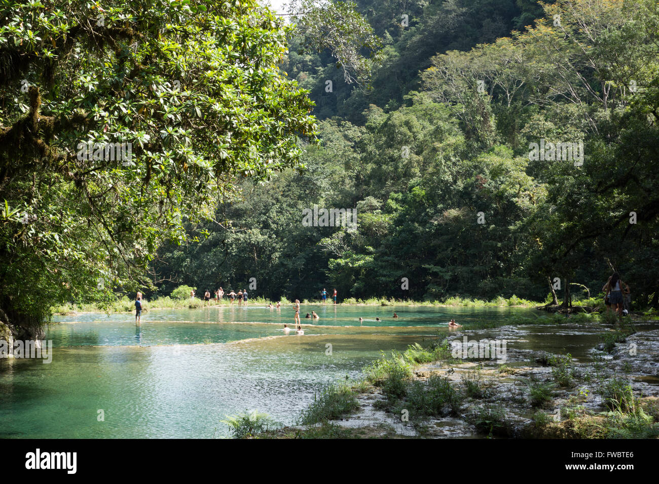 Water pools at Semuc Champey, Guatemala Stock Photo - Alamy