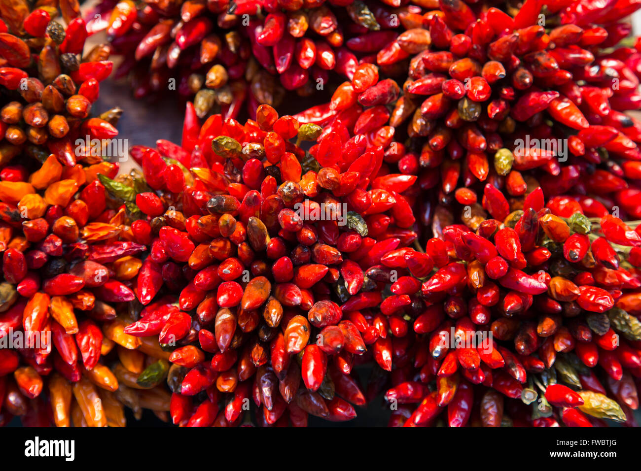 Bunches of Chilli Stock Photo - Alamy