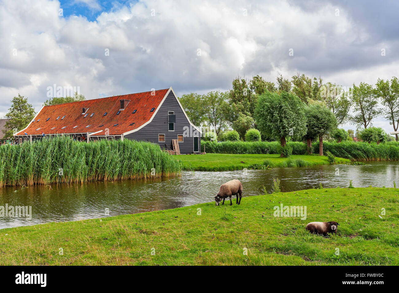 Rural holland hi-res stock photography and images - Alamy
